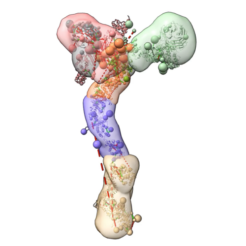 PDB-IHM Validation Report