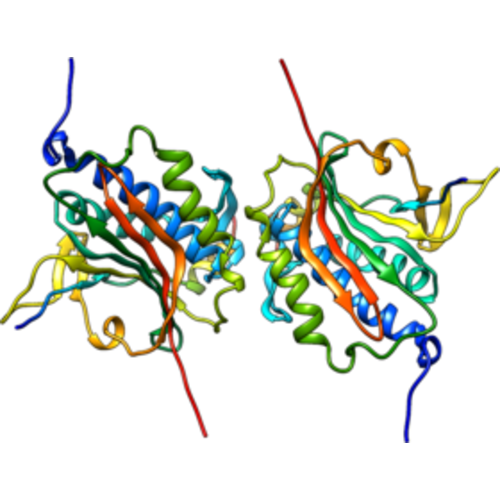 PDB-IHM Validation Report