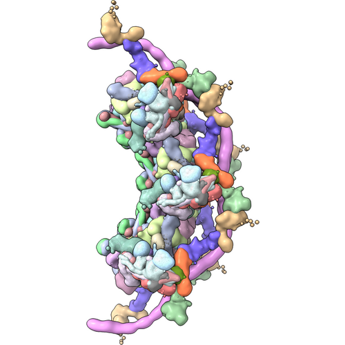 PDB-IHM Validation Report