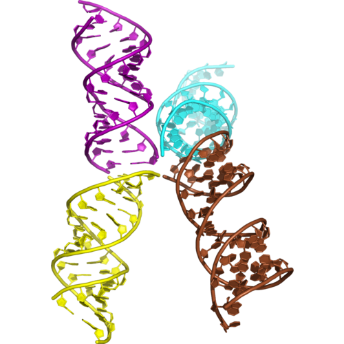 PDB-IHM Validation Report