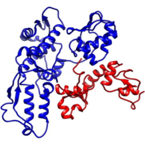 PDB-IHM Validation Report