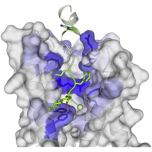 PDB-IHM Validation Report