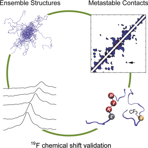PDB-IHM Validation Report