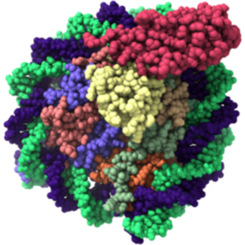 PDB-Dev Validation Report