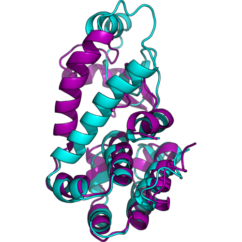 PDB-IHM Validation Report