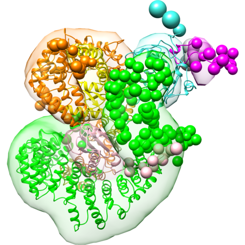 PDB-Dev Validation Report