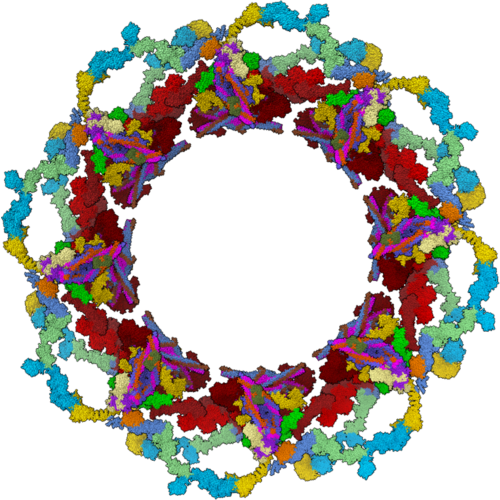 PDB-IHM Validation Report