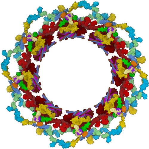 PDB-IHM Validation Report