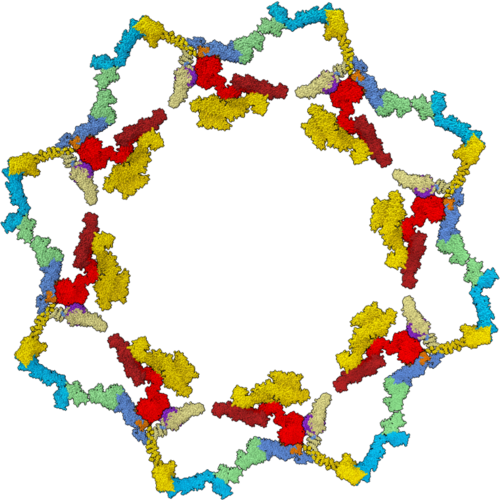 PDB-IHM Validation Report