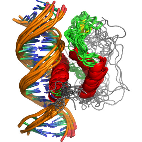 PDB-IHM Validation Report