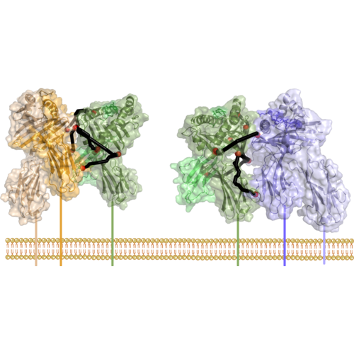 PDB-IHM Validation Report
