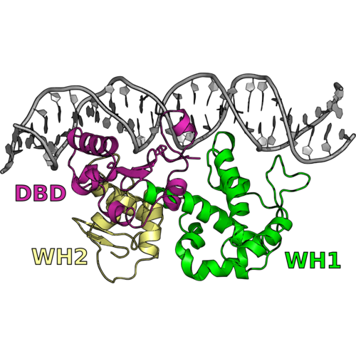 PDB-IHM Validation Report
