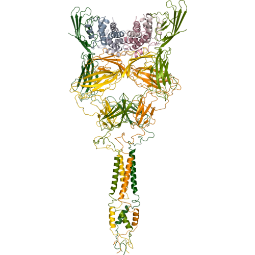 PDB-IHM Validation Report