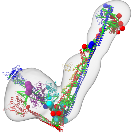 PDB-IHM Validation Report