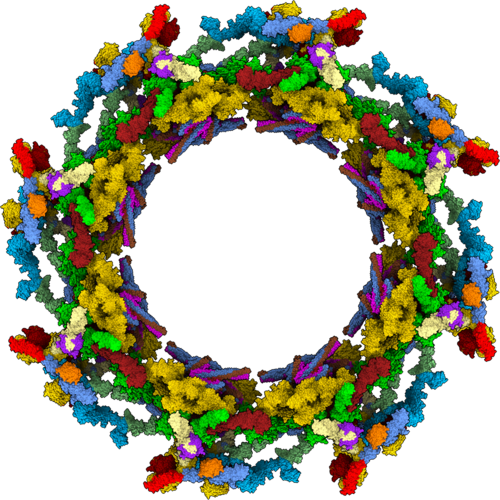 PDB-IHM Validation Report