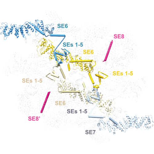 PDB-IHM Validation Report