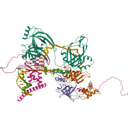 PDB-IHM Validation Report