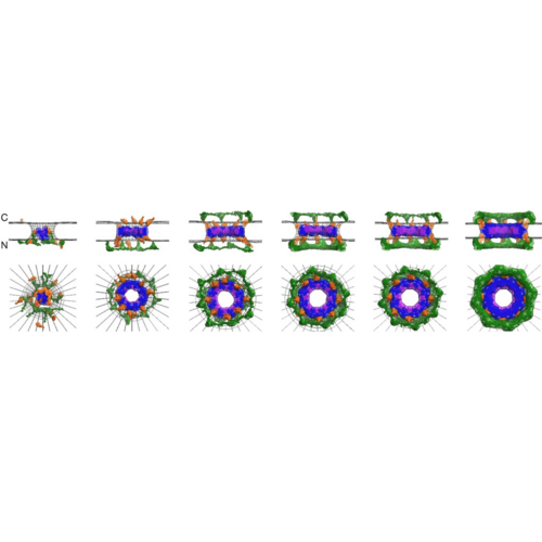 PDB-IHM Validation Report