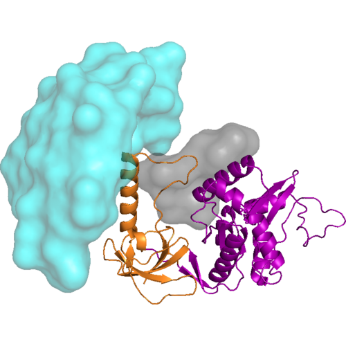 PDB-IHM Validation Report