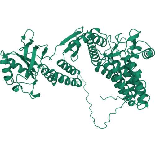 PDB-IHM Validation Report