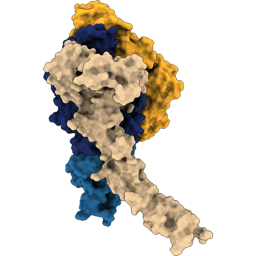 PDB-IHM Validation Report